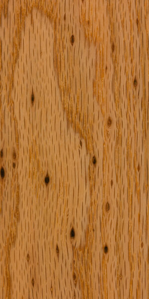 Red Oak | The Wood Database (Hardwood)