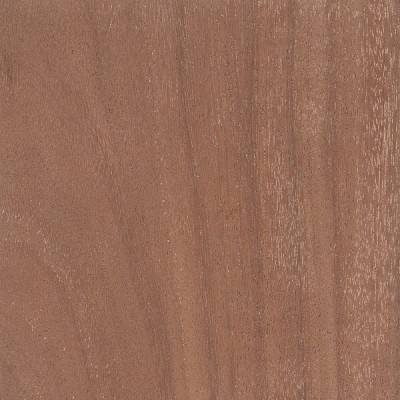 Wood Grain/Texture | The Wood Database