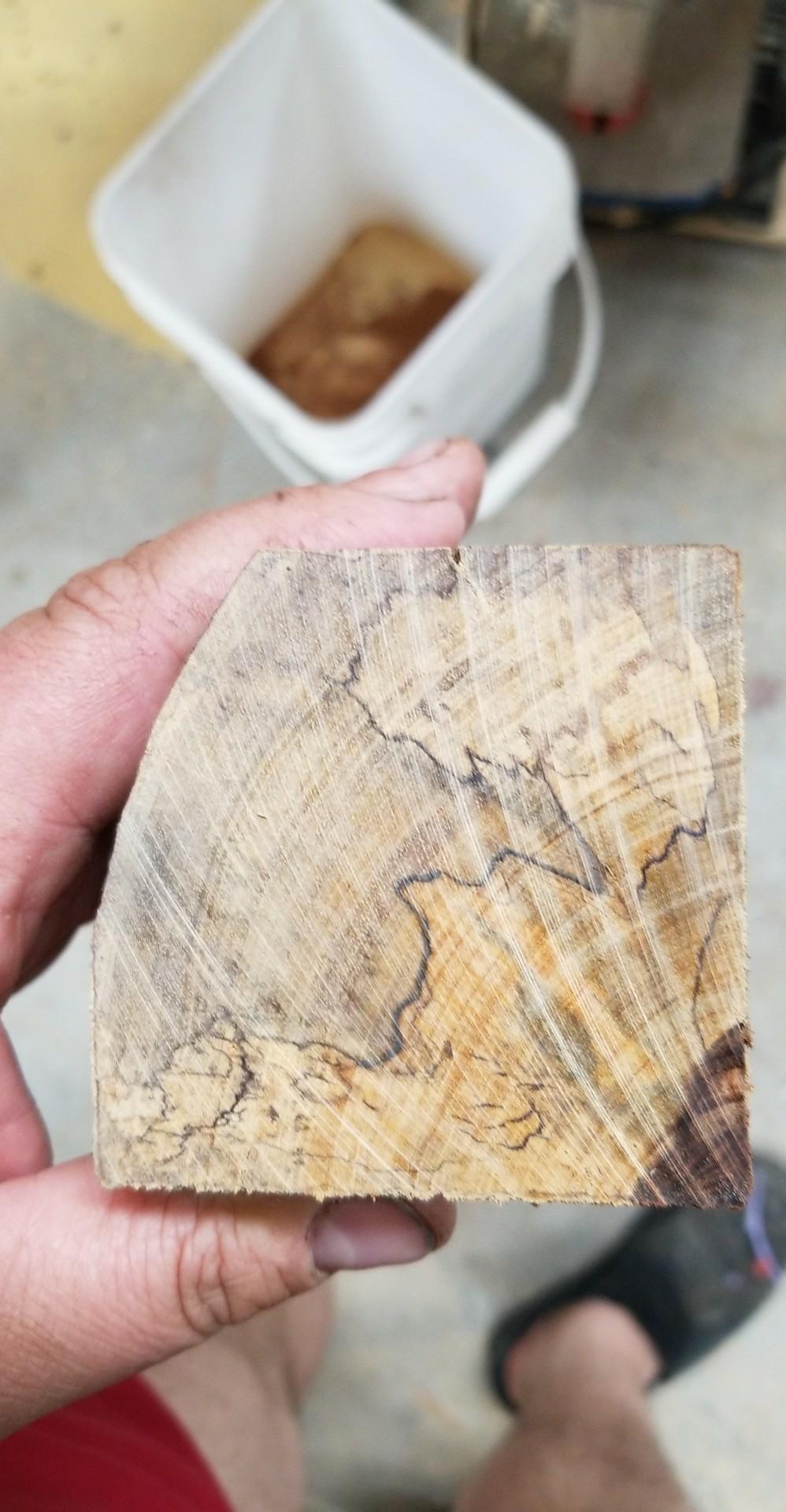 Hardwood Anatomy | The Wood Database