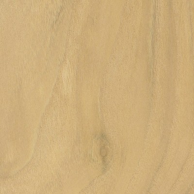 Mulberry | The Wood Database (Hardwood)