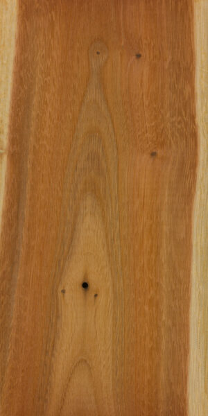 Rhamnaceae (buckthorn) family | The Wood Database