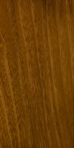 Black Locust | The Wood Database (Hardwood)