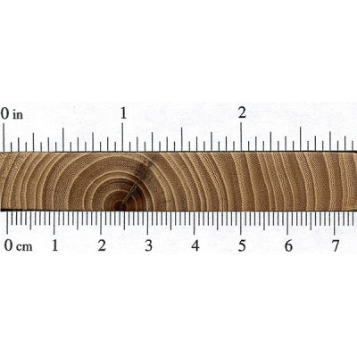 Rock Elm | The Wood Database (Hardwood)