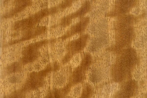 Obeche | The Wood Database (Hardwood)