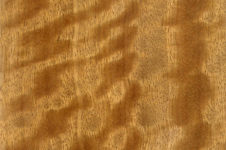 East Indian Satinwood | The Wood Database (Hardwood)