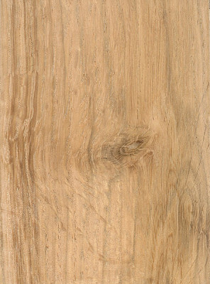 Scarlet Oak | The Wood Database (Hardwood)