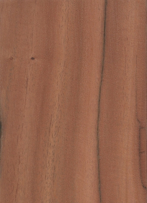 Quebracho | The Wood Database (Hardwood)