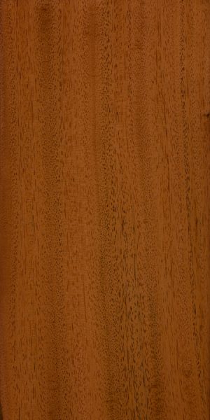 Willow-Leaf Red Quebracho | The Wood Database (Hardwood)