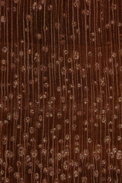 Willow-Leaf Red Quebracho | The Wood Database (Hardwood)