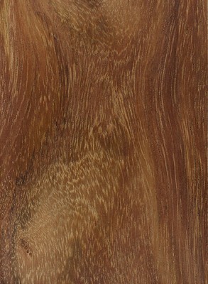 Sissoo | The Wood Database (Hardwood)