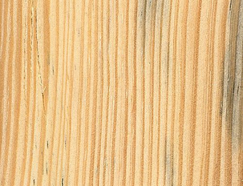 Alligator Juniper | The Wood Database - Lumber Identification (Softwood)