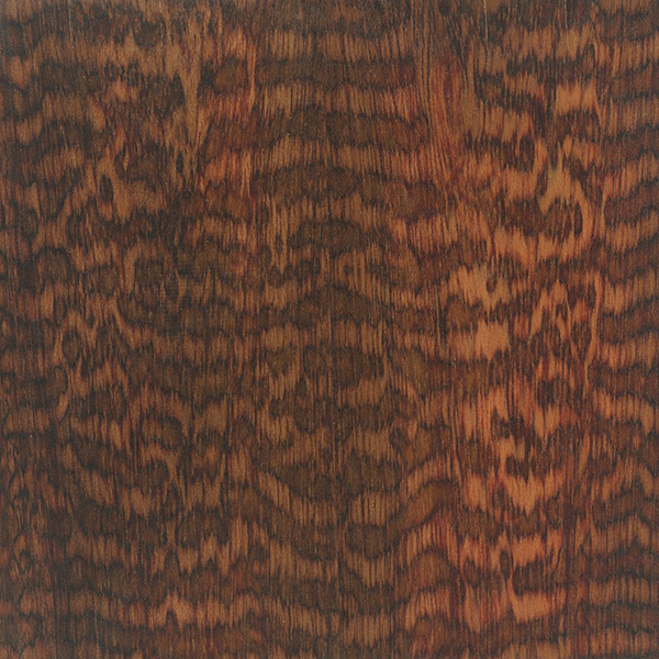 Snakewood The Wood Database Lumber Identification Hardwood snakewood-the-wood-database-lumber-identification-hardwood