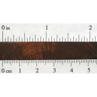 Snakewood | The Wood Database - Lumber Identification (Hardwood)