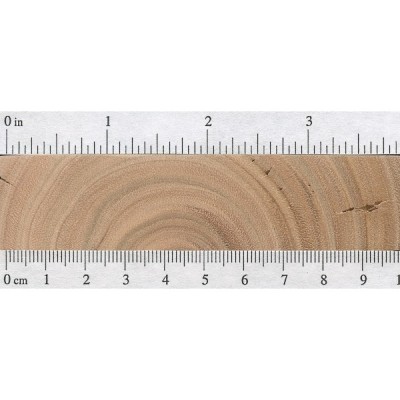 Blue Gum | The Wood Database - Lumber Identification (Hardwood)