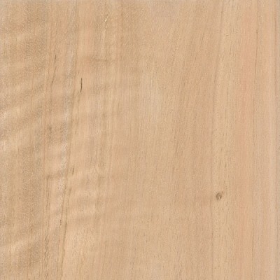 Spotted Gum | The Wood Database (Hardwood)