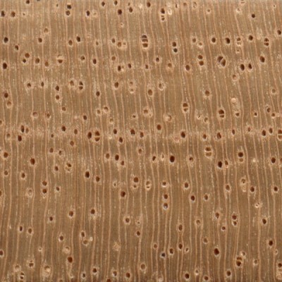 Spanish Cedar | The Wood Database (Hardwood)