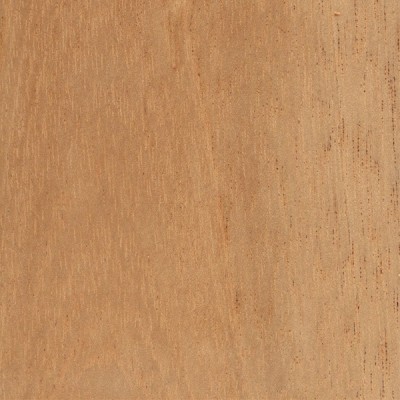 Spanish Cedar | The Wood Database (Hardwood)