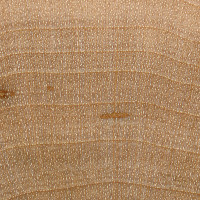 Striped Maple | The Wood Database - Lumber Identification (Hardwood)
