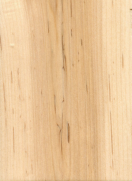 Striped Maple | The Wood Database - Lumber Identification (Hardwood)