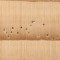 Sugar Pine | The Wood Database - Lumber Identification (Softwood)
