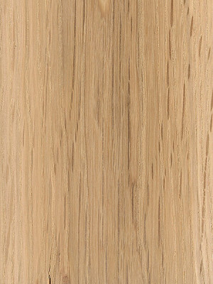 White Oak | The Wood Database (Hardwood)
