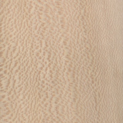 Sycamore | The Wood Database (Hardwood)