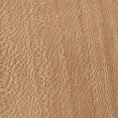 Sycamore | The Wood Database (Hardwood)