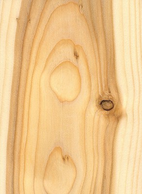 Tamarack | The Wood Database (Softwood)