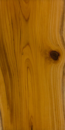 European Yew | The Wood Database (Softwood)