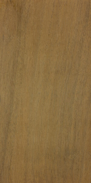 Jucaro | The Wood Database (Hardwood)
