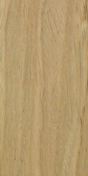 Idigbo | The Wood Database (Hardwood)