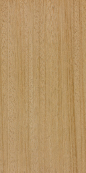 Idigbo | The Wood Database (Hardwood)