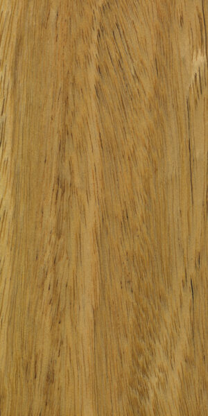 Idigbo | The Wood Database (Hardwood)