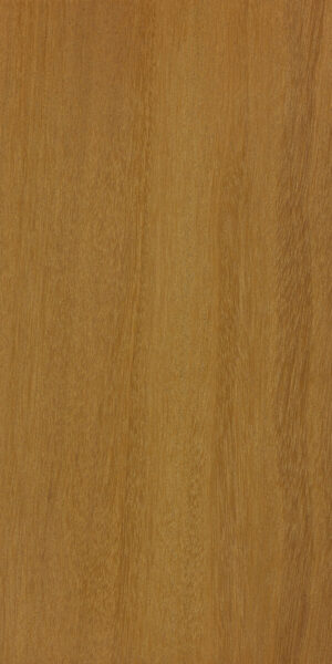 Izombe | The Wood Database (Hardwood)