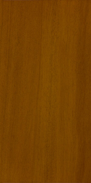 Izombe | The Wood Database (Hardwood)