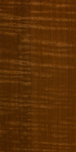 Makore | The Wood Database (Hardwood)