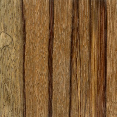 Tigre Caspi | The Wood Database (Hardwood)
