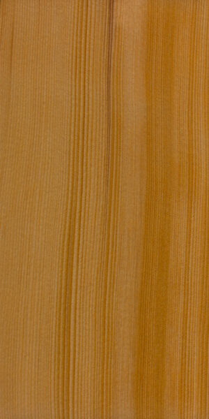 Western Hemlock | The Wood Database (Softwood)