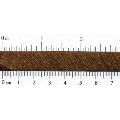 Tzalam | The Wood Database (Hardwood)