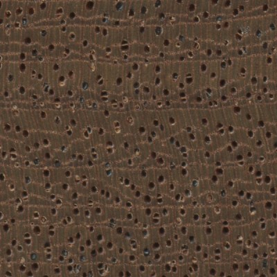 Utile | The Wood Database (Hardwood)