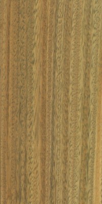 Verawood | The Wood Database (Hardwood)