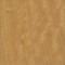 West Indian Satinwood | The Wood Database (Hardwood)