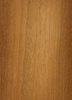 Lauan | The Wood Database (Hardwood)