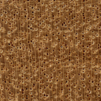 White Meranti | The Wood Database (Hardwood)