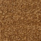 White Meranti | The Wood Database (Hardwood)