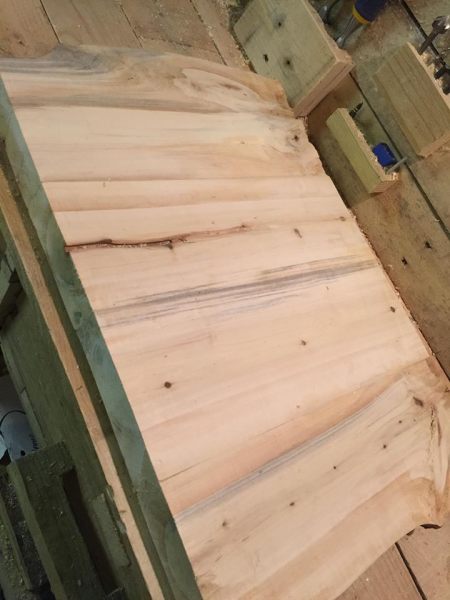 Wood Identification Guide | The Wood Database