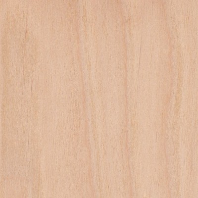 Yellow Birch | The Wood Database (Hardwood)
