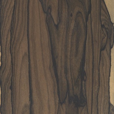 Freijo | The Wood Database (Hardwood)