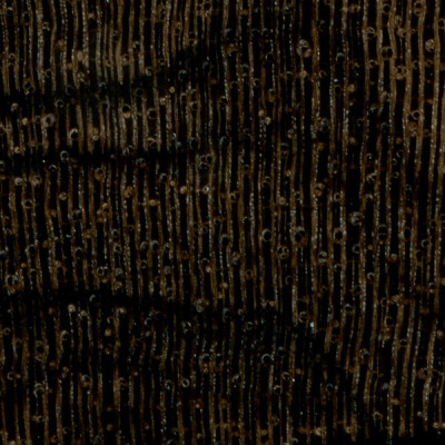 Ziricote | The Wood Database (Hardwood)